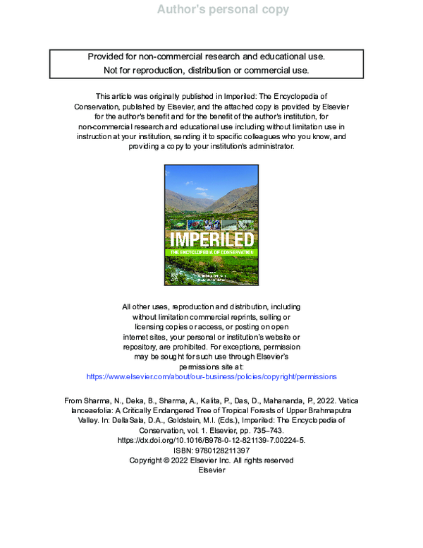 (PDF) Vatica lanceaefolia: A Critically Endangered Tree of Tropical ...