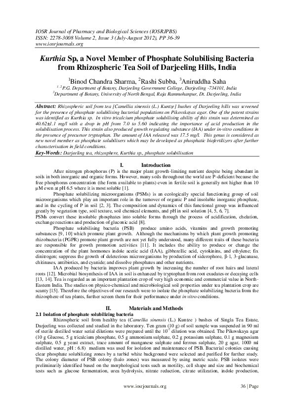 (PDF) Kurthia Sp, a Novel Member of Phosphate Solubilising Bacteria ...