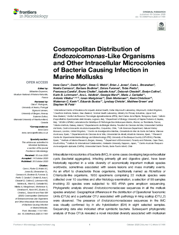 (PDF) Cosmopolitan Distribution of Endozoicomonas-Like Organisms and ...