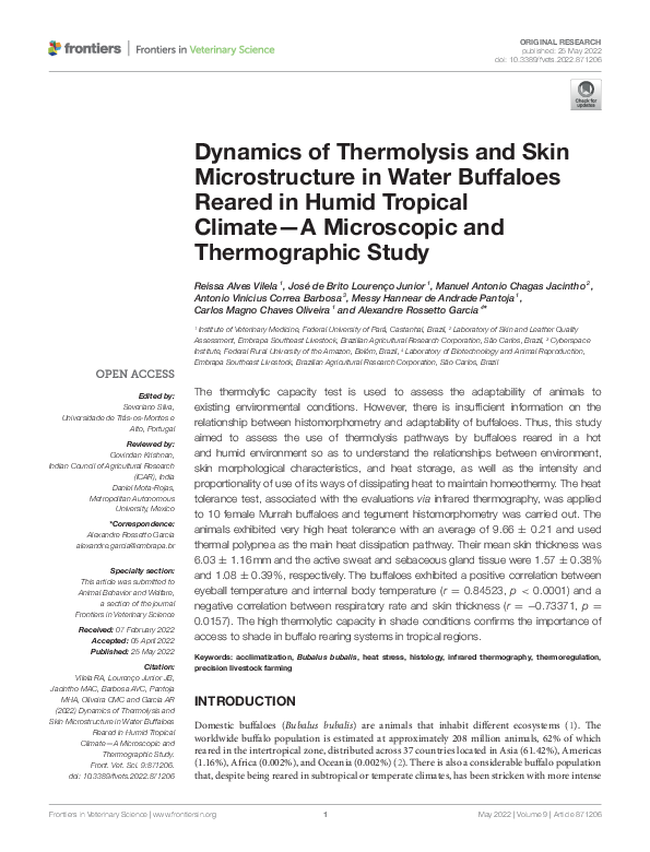 (PDF) Dynamics of Thermolysis and Skin Microstructure in Water ...