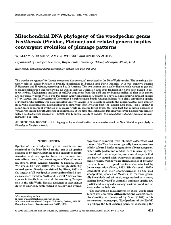 (PDF) Mitochondrial DNA phylogeny of the woodpecker genus Veniliornis ...