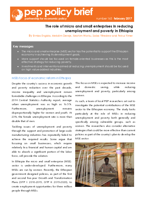 (PDF) The Role of Micro and Small Enterprises in Reducing Unemployment ...