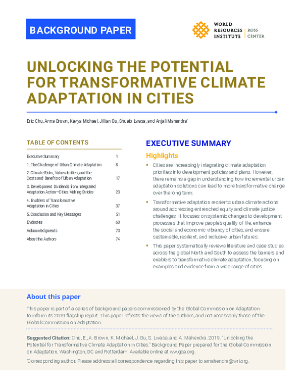 (PDF) Unlocking the Potential for Transformative Climate Adaptation in ...