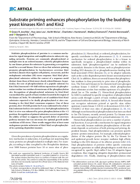 (PDF) Substrate priming enhances phosphorylation by the budding yeast ...