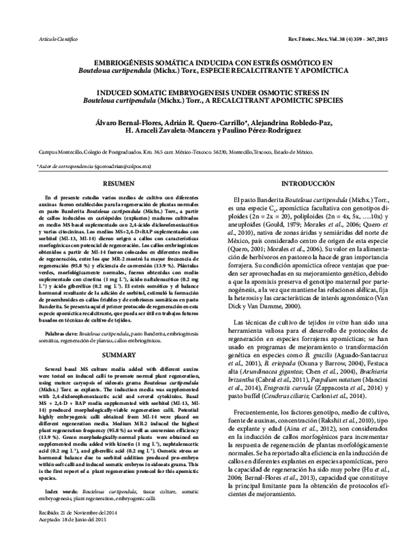 (PDF) EMBRIOGÉNESIS SOMÁTICA INDUCIDA CON ESTRÉS OSMÓTICO EN Bouteloua ...