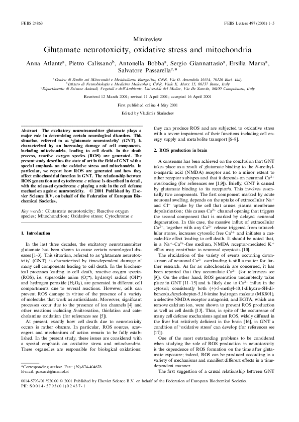 (PDF) Glutamate neurotoxicity, oxidative stress and mitochondria ...