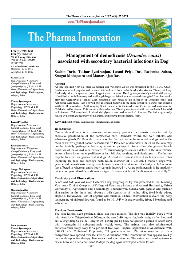 (PDF) Management of demodicosis ( Demodex canis ) associated with ...