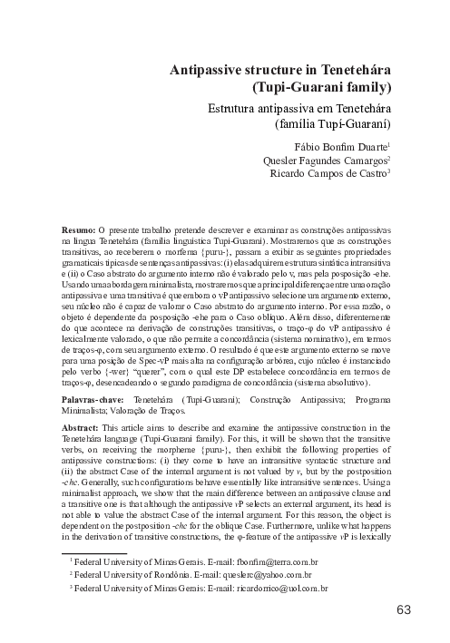 (PDF) Antipassive structure in Tenetehára (Tupi-Guarani family)