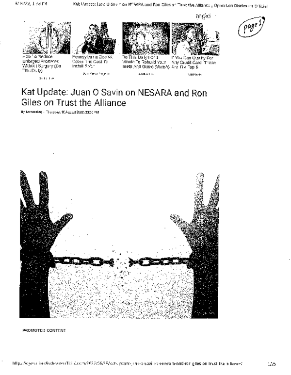 (PDF) A Report by Kat (also known as Kat Anonup ): Kat Update: Juan O ...