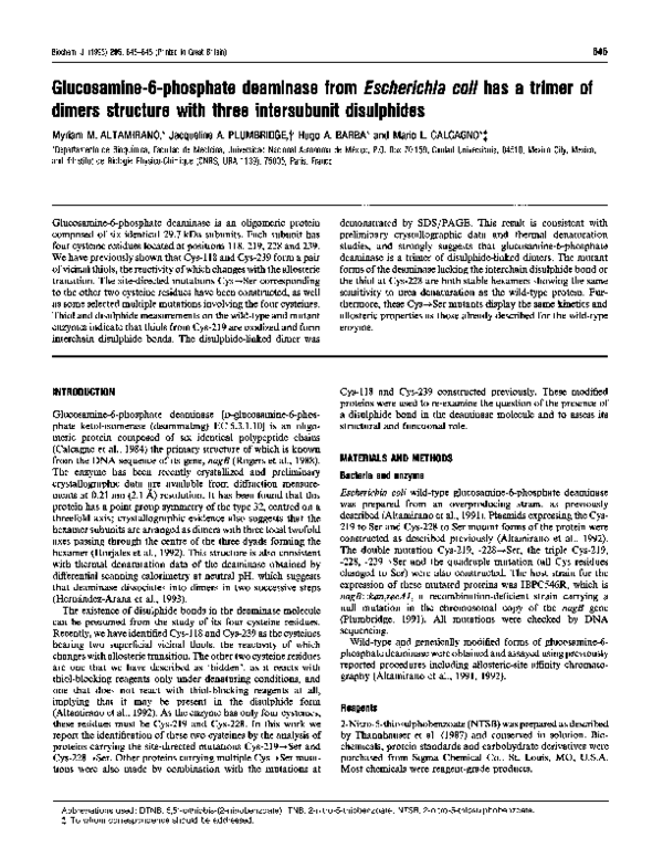 (PDF) Glucosamine-6-phosphate deaminase fromEscherichia colihas a ...