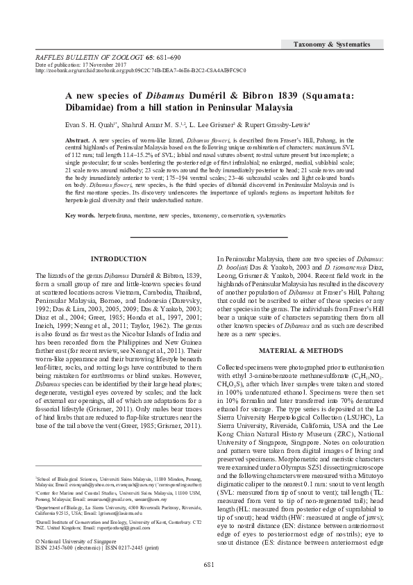 (PDF) A new species of Dibamus Duméril & Bibron 1839 (Squamata ...