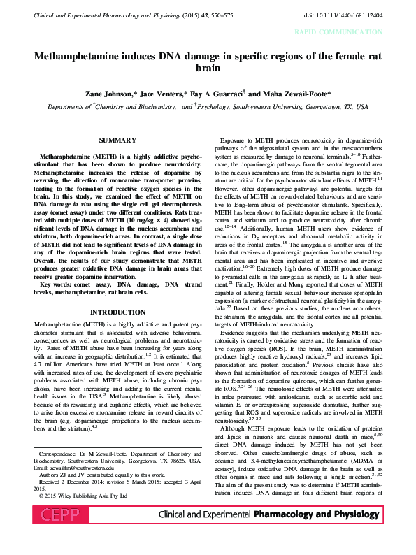 (PDF) Methamphetamine Induces DNA Damage in Specific Regions of the ...