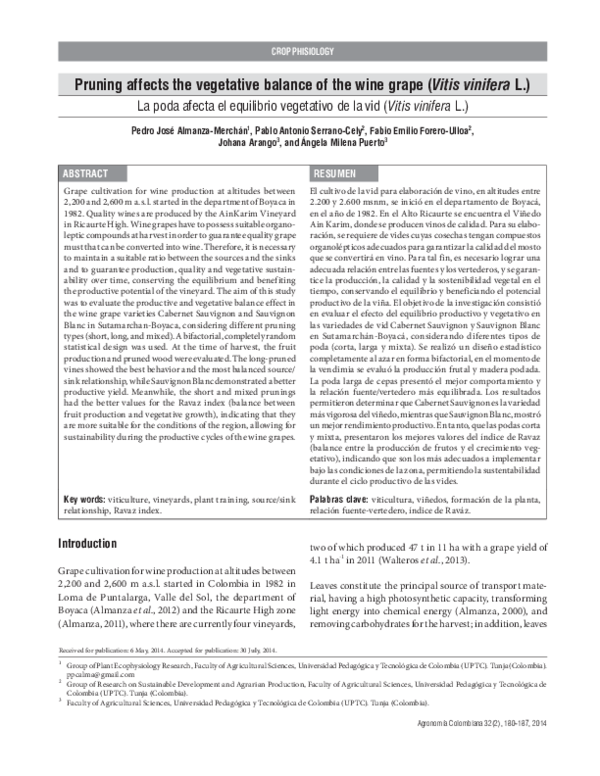 (PDF) Pruning affects the vegetative balance of the wine grape (Vitis vinifera L.)