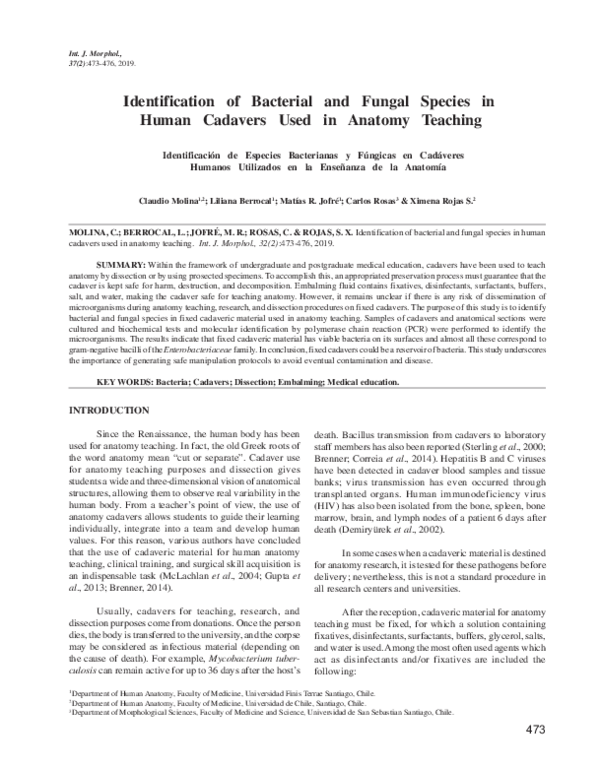 (PDF) Identification of Bacterial and Fungal Species in Human Cadavers ...