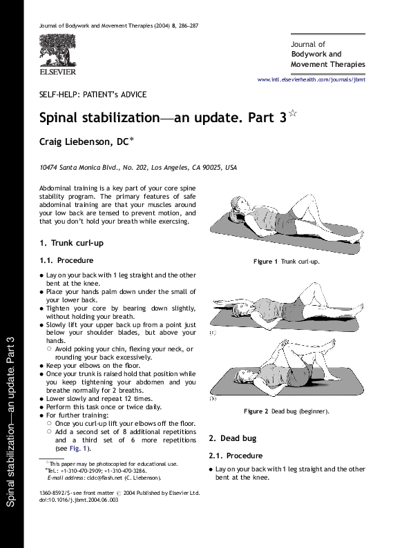(PDF) Spinal stabilization—an update. Part 3 | Craig Liebenson ...