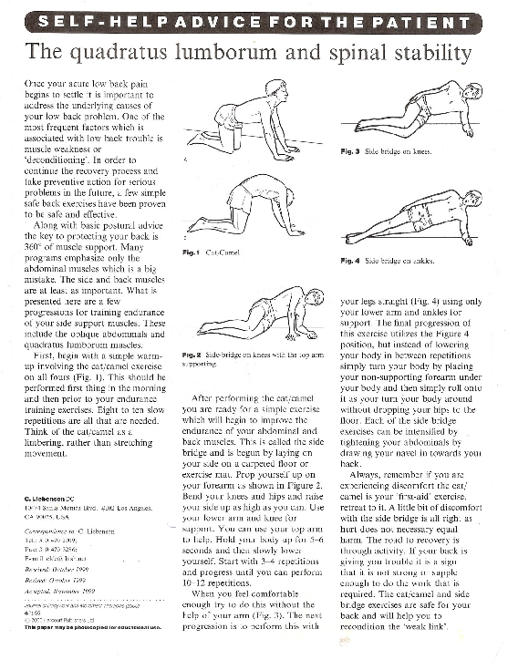 (PDF) The quadratus lumborum and spinal stability