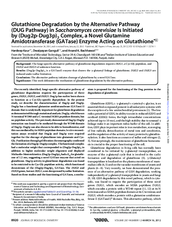 (PDF) Glutathione Degradation by the Alternative Pathway (DUG Pathway ...