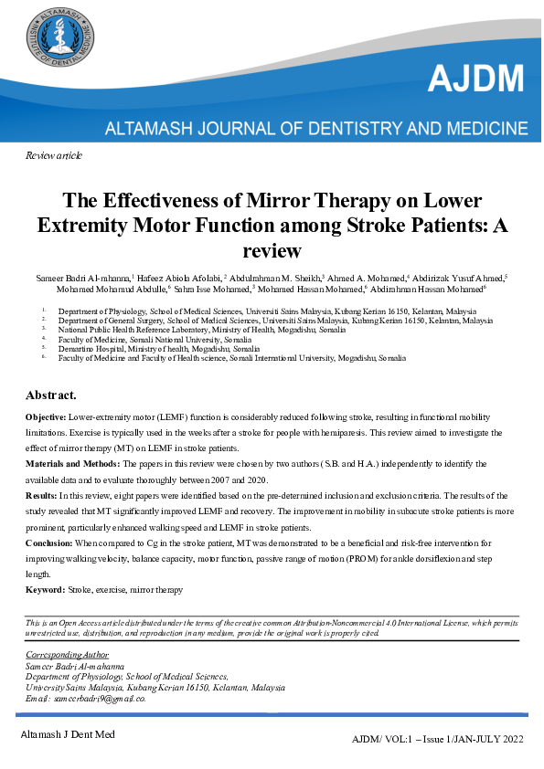 (PDF) The Effectiveness of Mirror Therapy on Lower Extremity Motor Function among Stroke ...