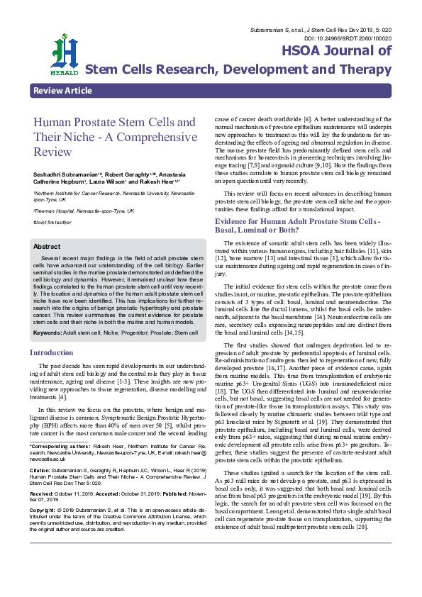 (PDF) Stem Cells in Human Reproduction