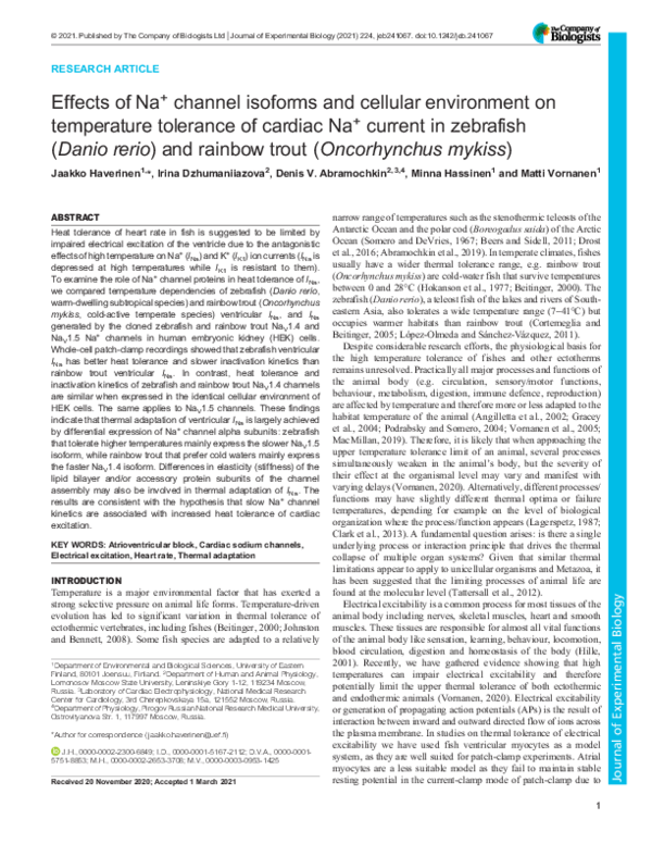 (PDF) Effects of Na+ channel isoforms and cellular environment on ...