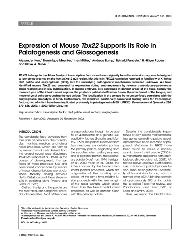 (PDF) Expression of mouse Tbx22 supports its role in palatogenesis and ...