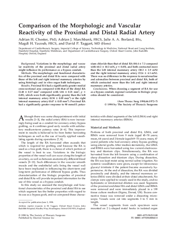 (PDF) Comparison of the morphologic and vascular reactivity of the ...