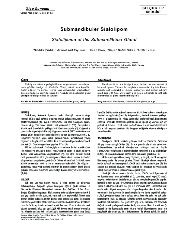 Pdf Optimization Of Vehicle Classification Model Using Genetic Algorithm
