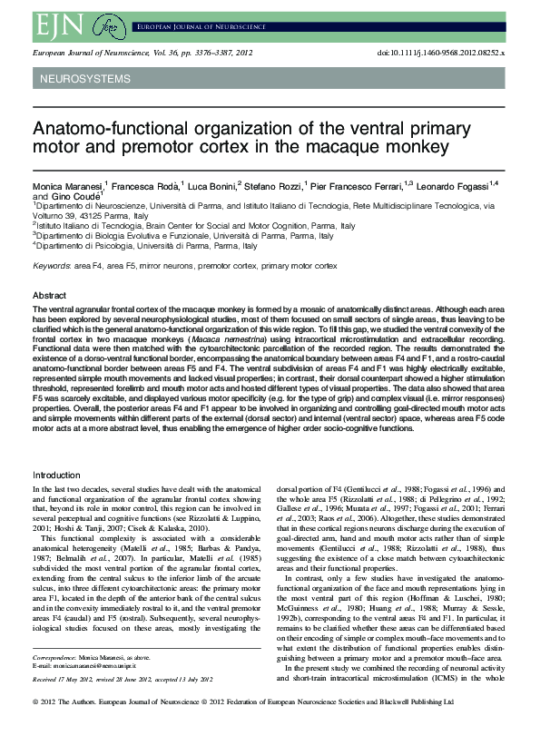 (PDF) Anatomo-functional organization of the ventral primary motor and premotor cortex in the ...