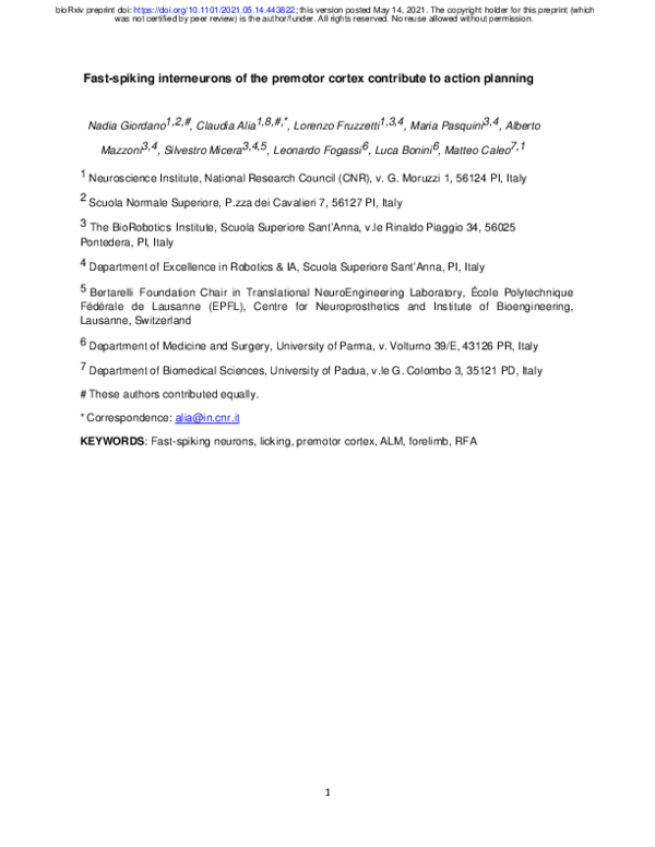 (PDF) Fast-Spiking Interneurons of the Premotor Cortex Contribute to Action Planning