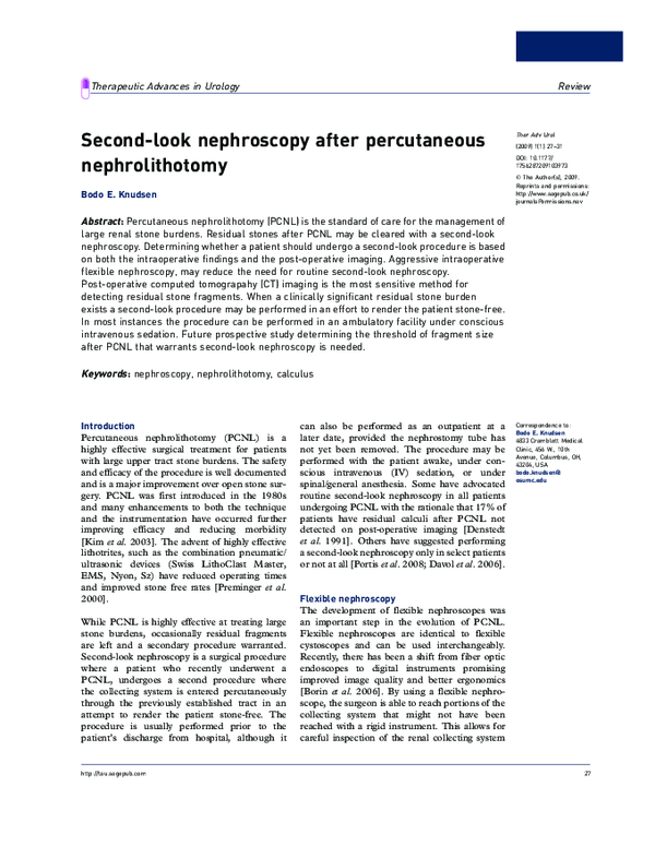 (PDF) Second-look nephroscopy after percutaneous nephrolithotomy