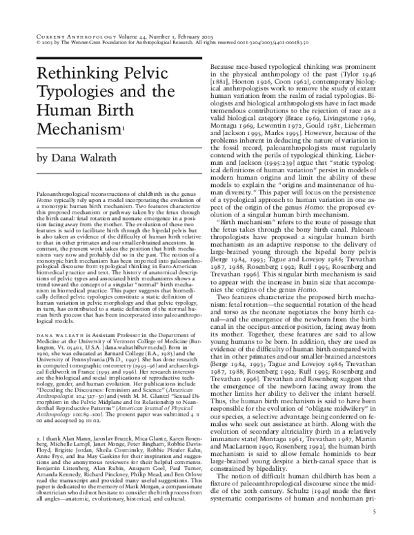 (PDF) Rethinking Pelvic Typologies and the Human Birth Mechanism ...