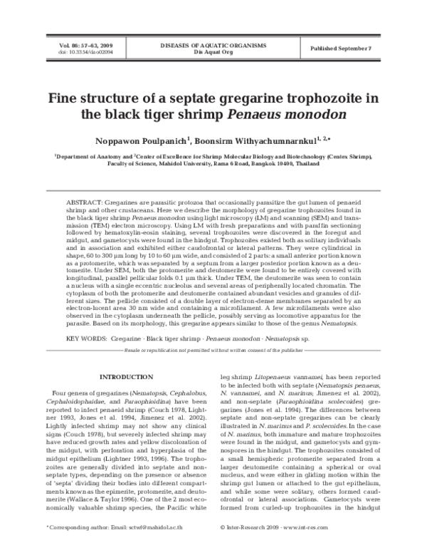 (PDF) Fine structure of a septate gregarine trophozoite in the black ...