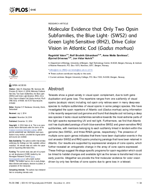 (PDF) Molecular Evidence that Only Two Opsin Subfamilies, the Blue ...