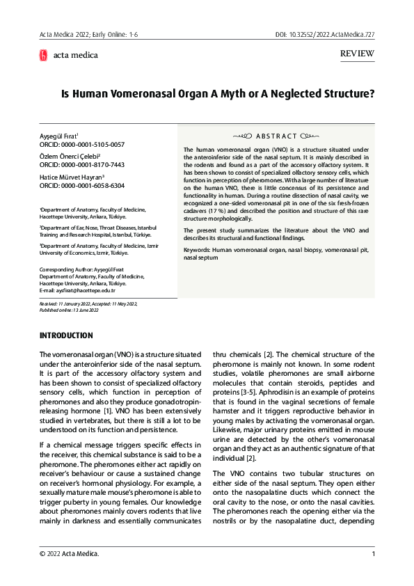 (PDF) Is Human Vomeronasal Organ A Myth or A Neglected Structure?