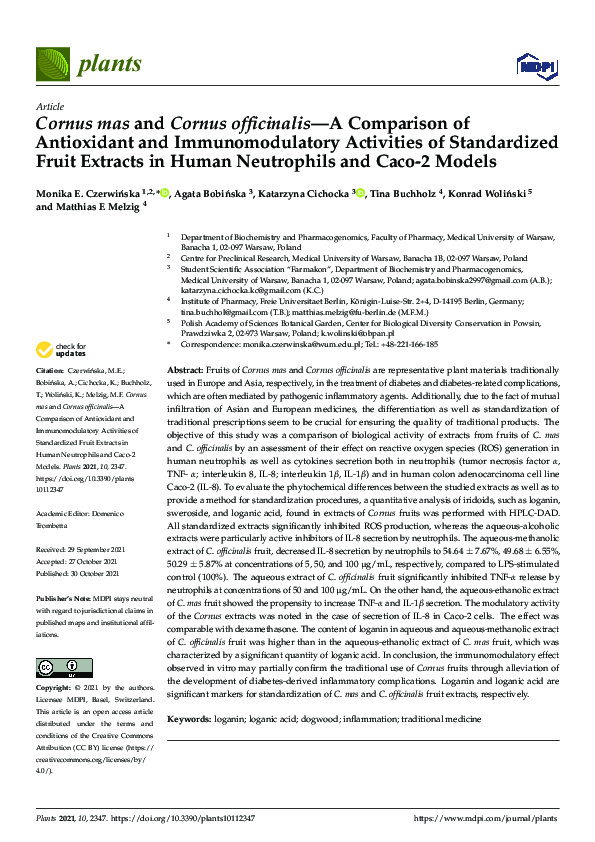 (PDF) Cornus mas and Cornus officinalis—A Comparison of Antioxidant and Immunomodulatory ...