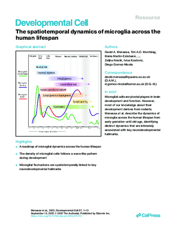(PDF) The spatiotemporal dynamics of microglia across the human ...