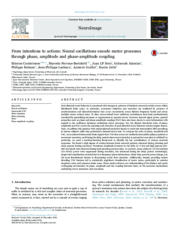 Pdf From Intentions To Actions Neural Oscillations Encode Motor