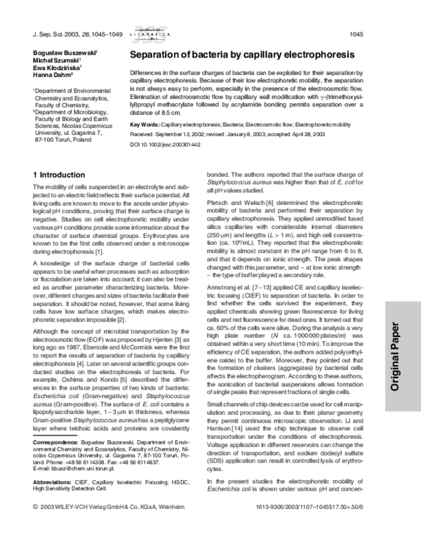(PDF) Separation of bacteria by capillary electrophoresis