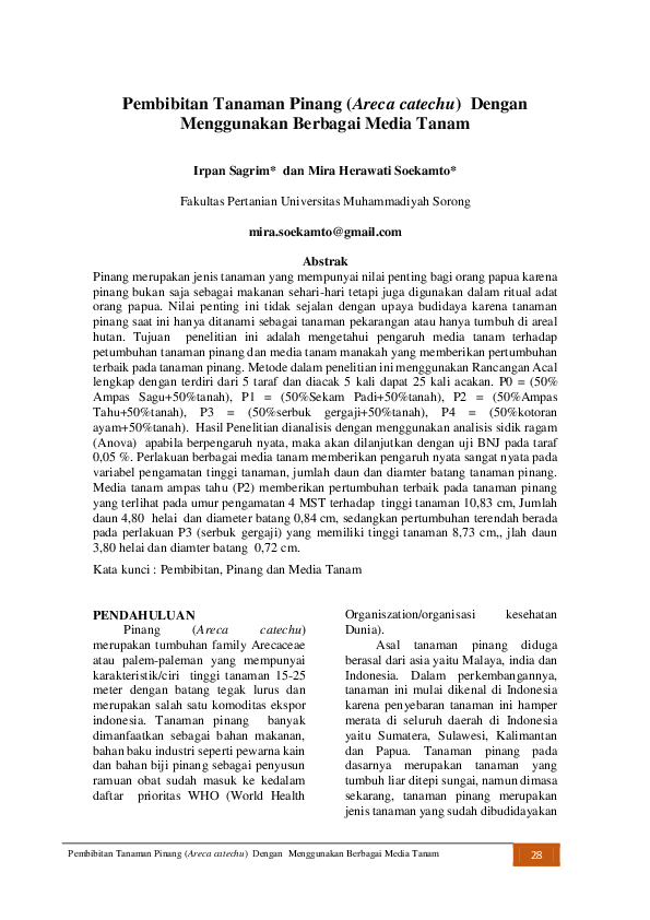 (PDF) Pembibitan Tanaman Pinang(Areca catechu)Dengan MenggunakanBerbagai Media Tanam