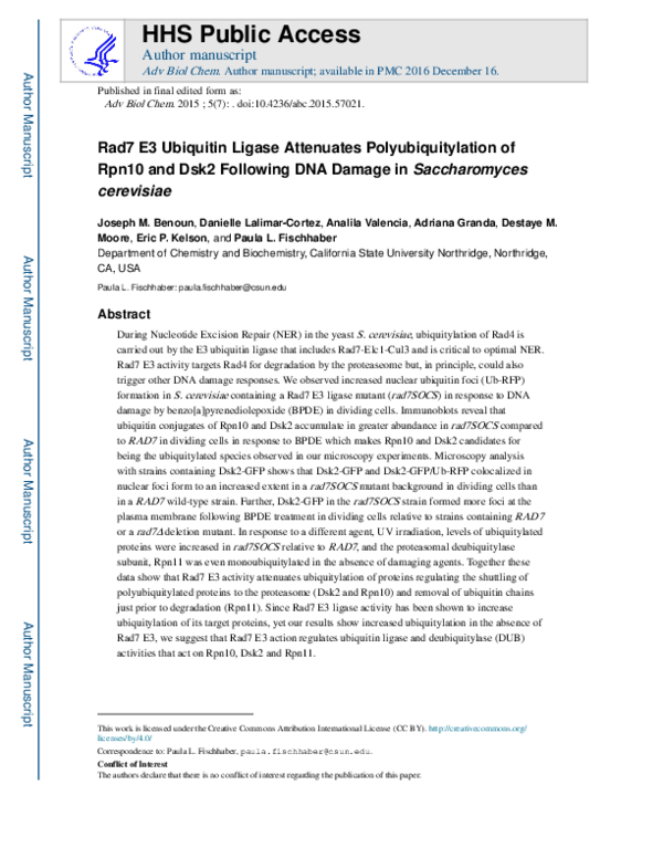 (PDF) Rad7 E3 Ubiquitin Ligase Attenuates Polyubiquitylation of Rpn10 ...