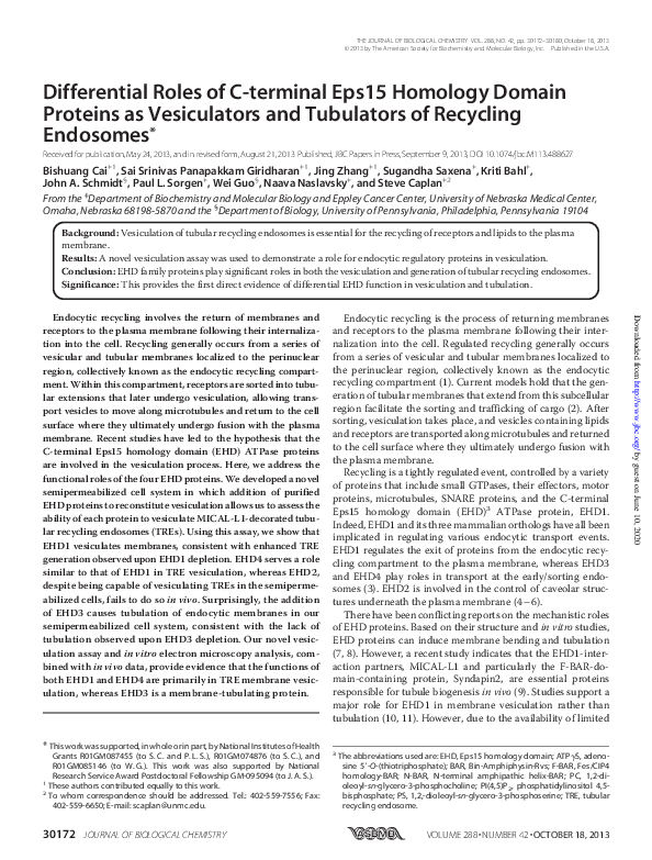 (PDF) Differential Roles of C-terminal Eps15 Homology Domain Proteins ...