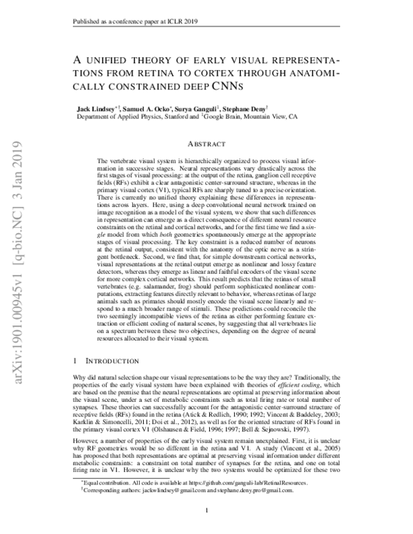 (PDF) A Unified Theory Of Early Visual Representations From Retina To Cortex Through ...