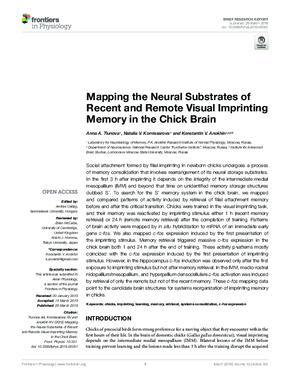 (PDF) Mapping the Neural Substrates of Recent and Remote Visual ...