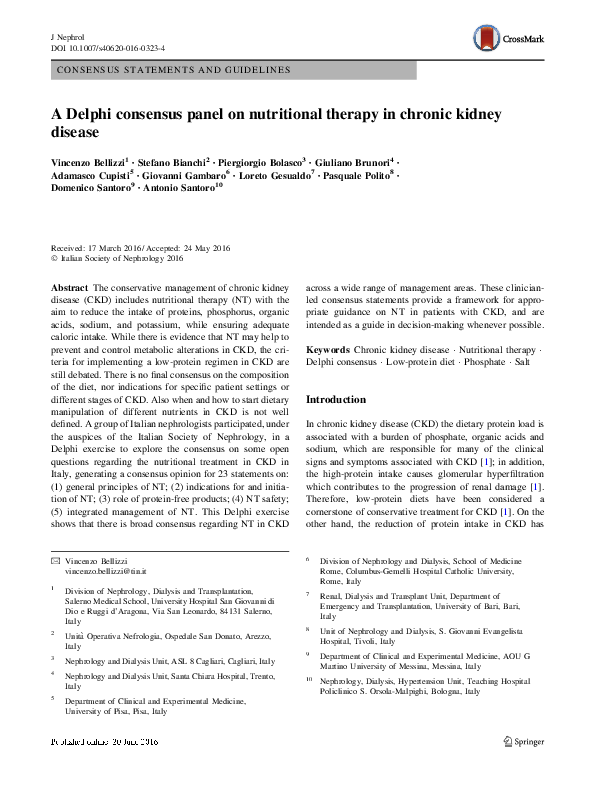 (PDF) A Delphi consensus panel on nutritional therapy in chronic kidney ...