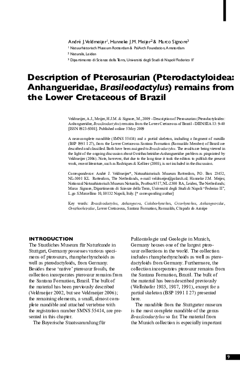 (PDF) Description of Pterosaurian (Pterodactyloidea: Anhangueridae ...