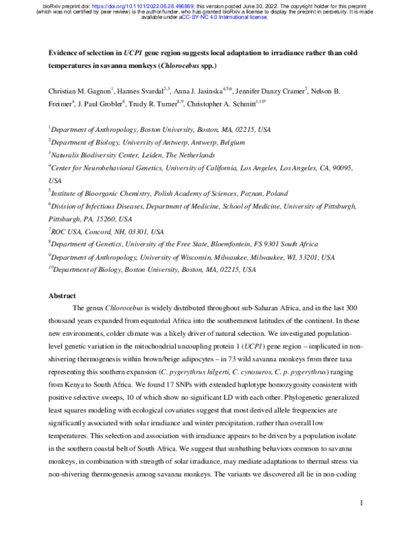 (PDF) Evidence of selection in UCP1 gene region suggests local ...