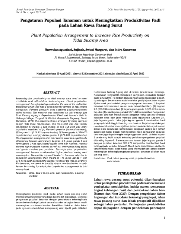 (PDF) Pengaturan Populasi Tanaman untuk Meningkatkan Produktivitas Padi pada Lahan Rawa Pasang Surut