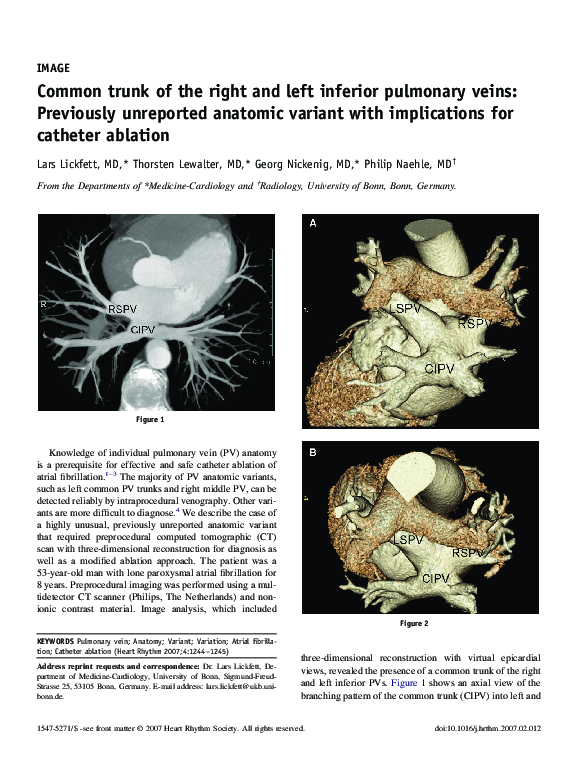 (PDF) Common trunk of the right and left inferior pulmonary veins ...