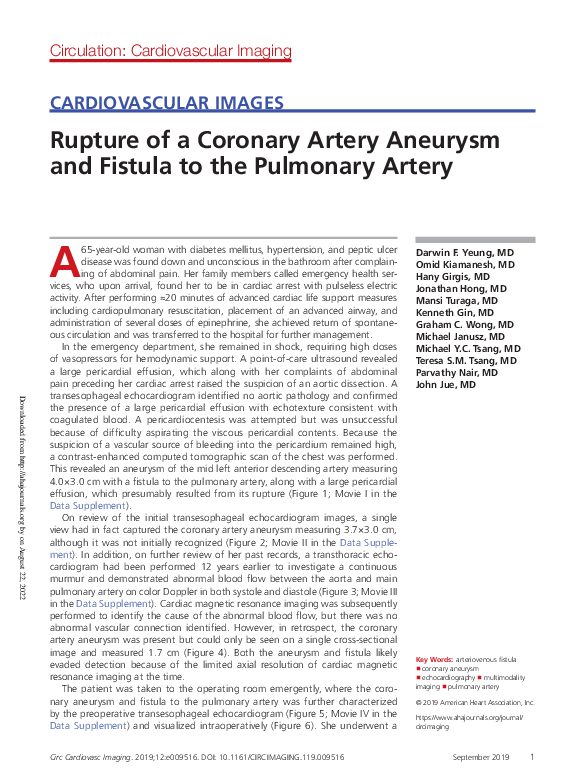 (PDF) Rupture of a Coronary Artery Aneurysm and Fistula to the ...