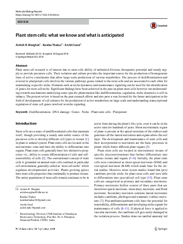 (PDF) Plant stem cells: what we know and what is anticipated